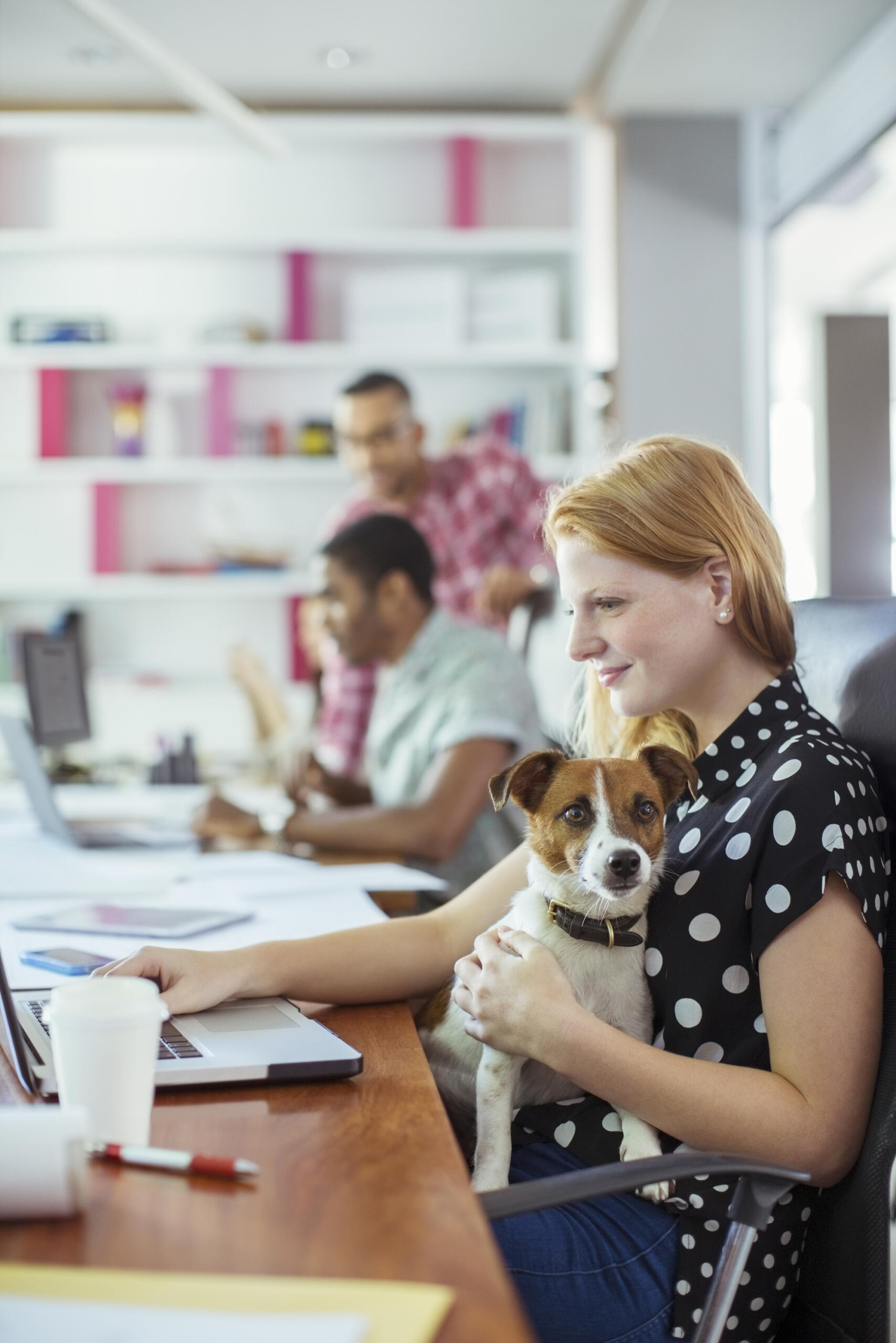 7 Ways an Office Pet Will Improve Your Business - Asen Marketing