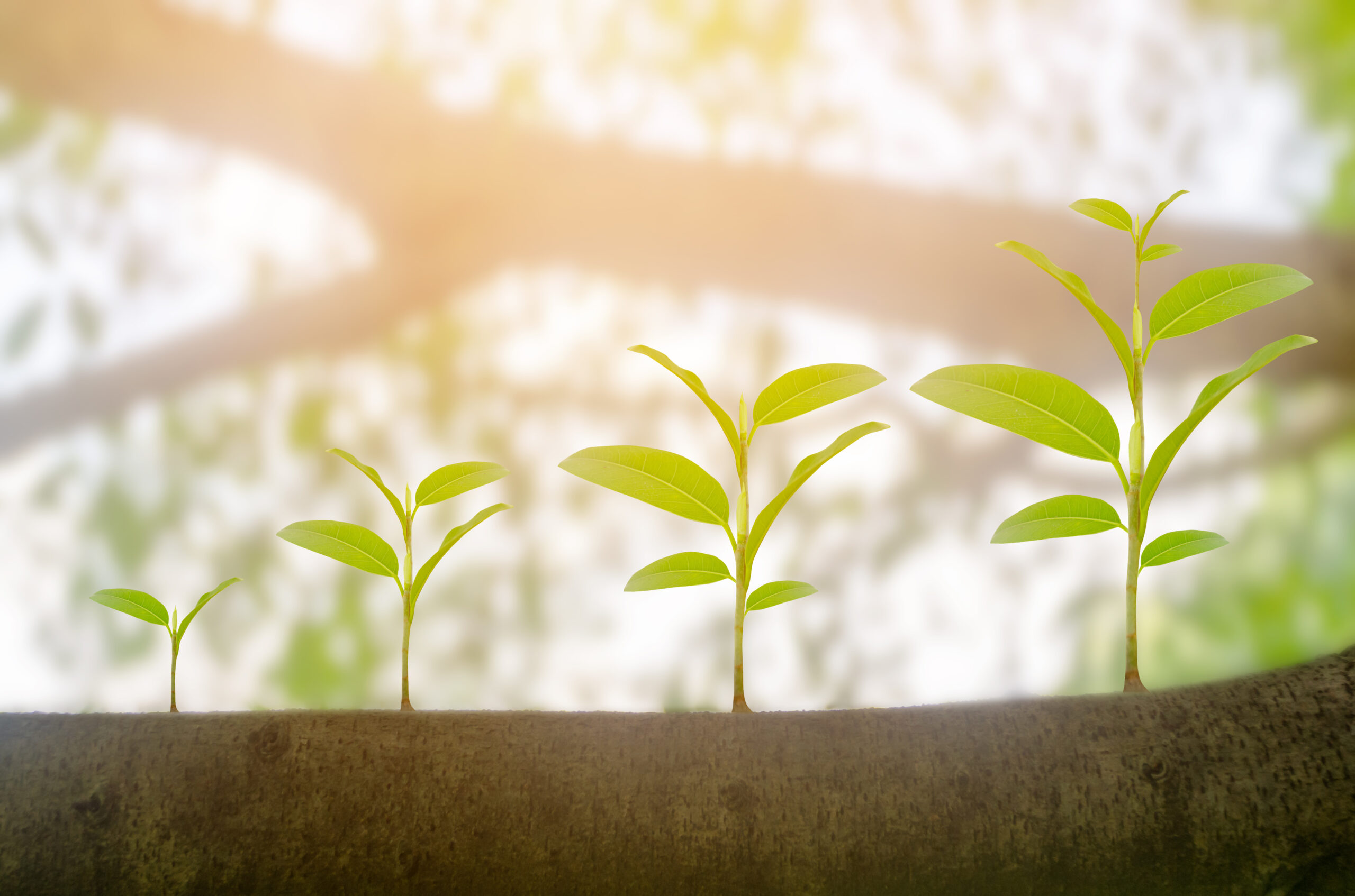 Spark More Growth with SMART Marketing Goals - Asen Marketing
